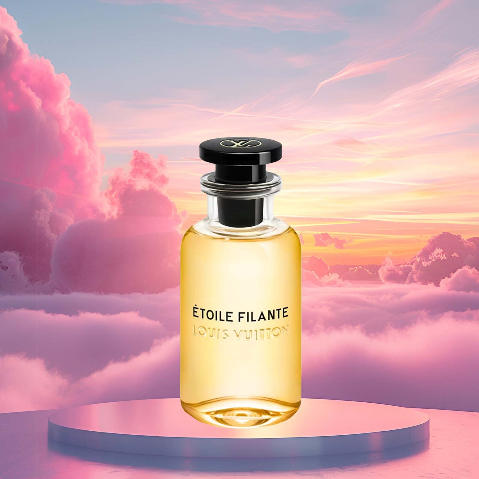 Luxus Second-Hand Designer-Taschen online kaufen | PORT PRESTIGE